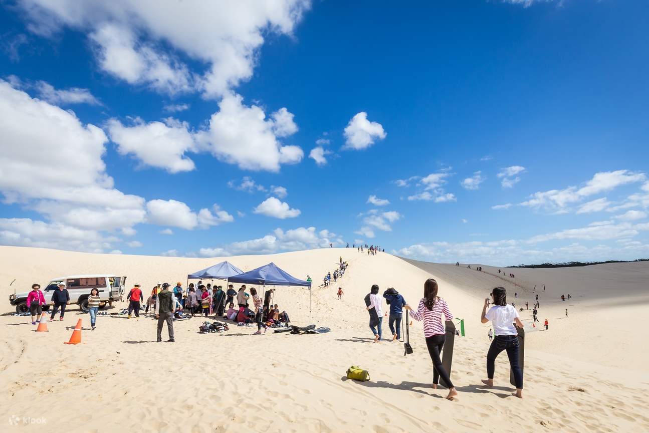 Daily Unlimited Sandboarding in Port Stephens - Klook Australia