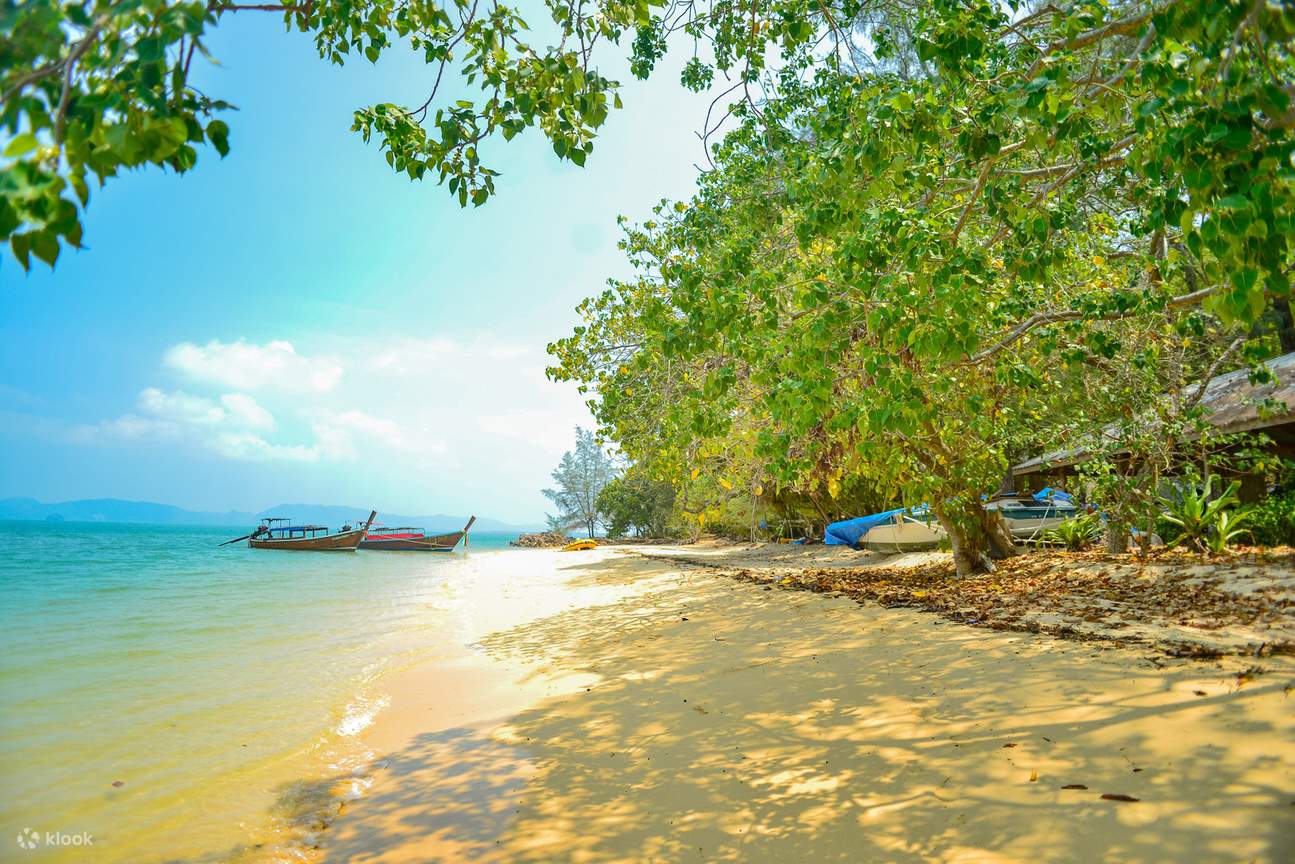 Full-Day Mangrove and Sea Cave Kayaking from Koh Lanta - Klook United ...