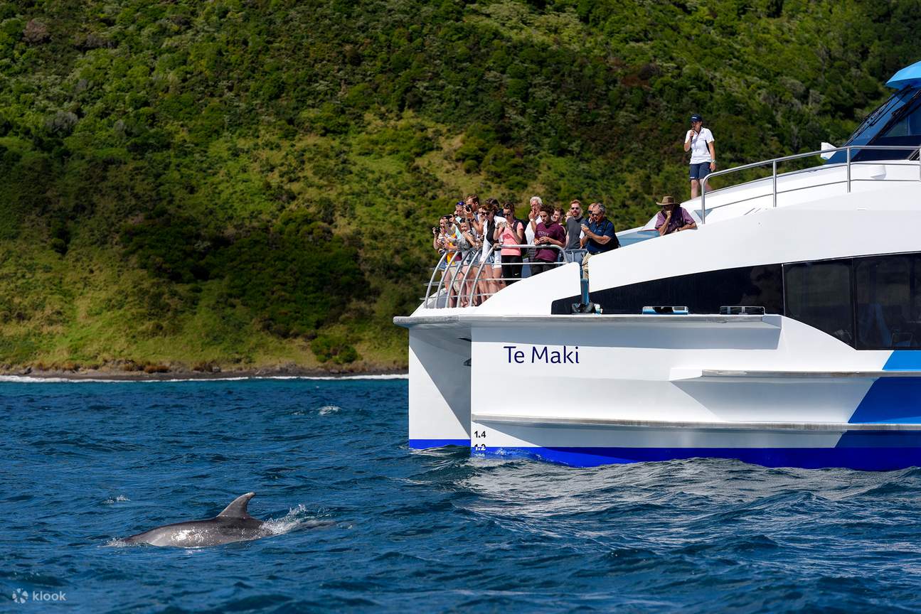 Cream Trip Super Cruise and Otehei Bay Tour from Bay of Islands - Klook