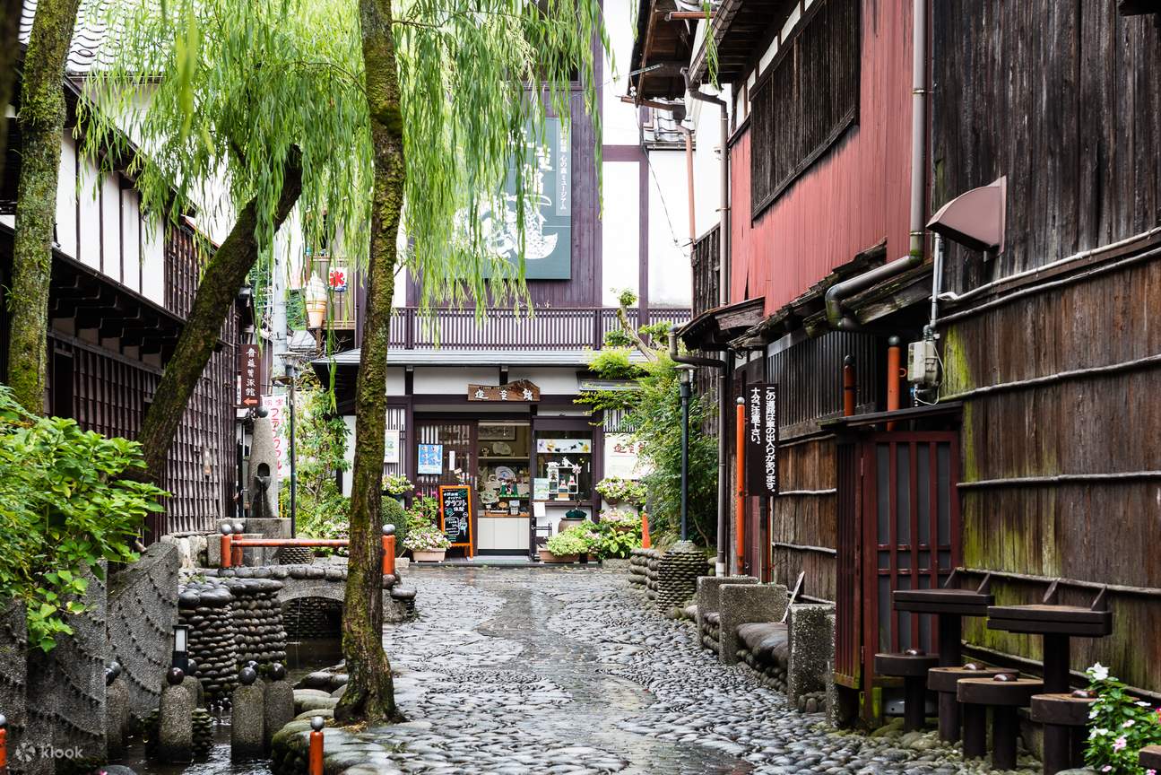 Amazing Sakura 1 Day Tour with Charter Train and Boat from Nagoya ...