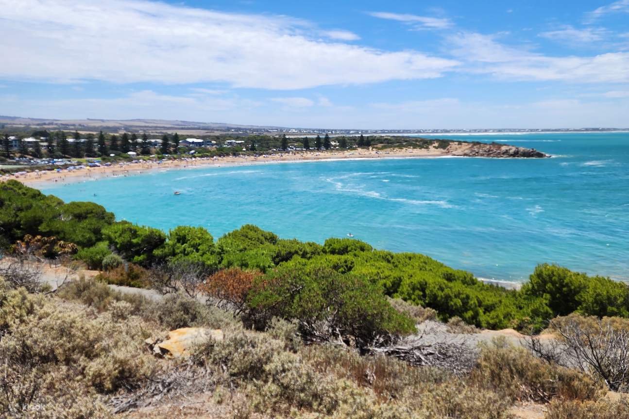 McLaren Vale, Port Elliot & Victor Harbor Tour - Klook India