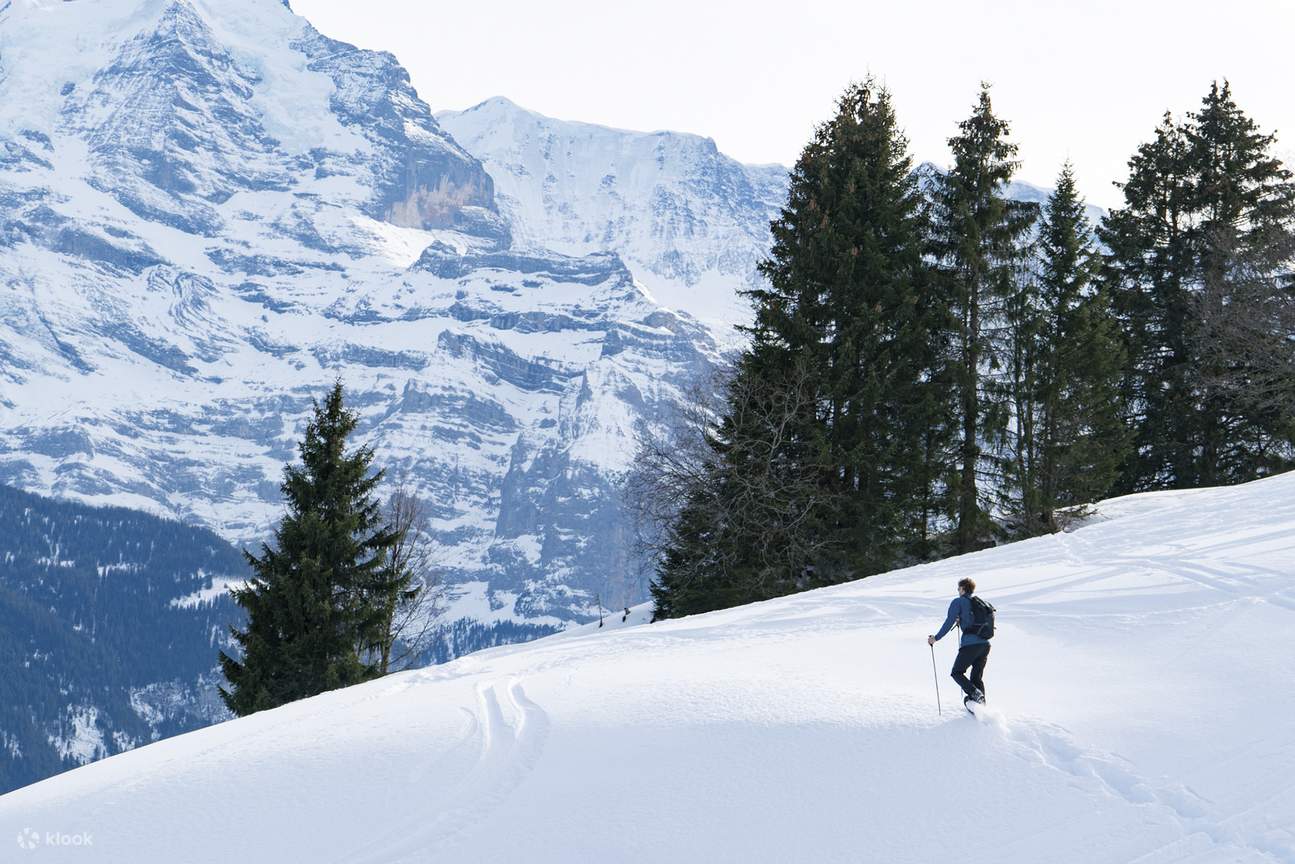 winter alpine adventure from Interlaken - Klook