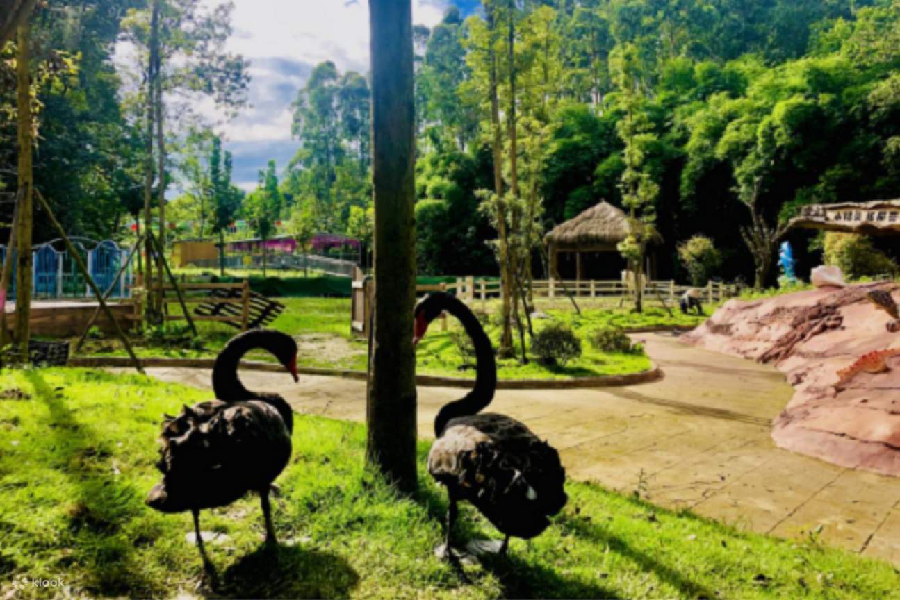 Dujiangyan Rose Theme Park Admission in Chengdu - Klook États-Unis