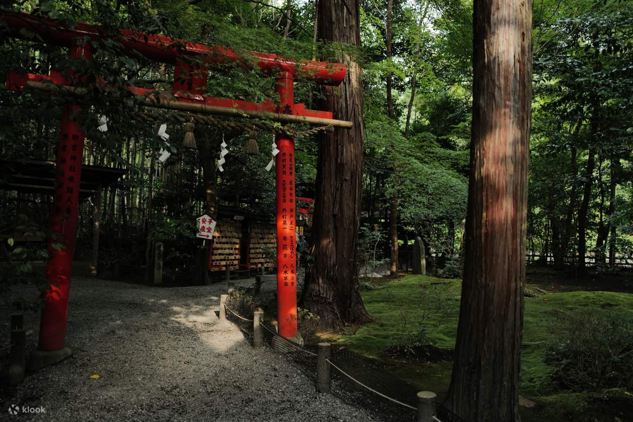 Kyoto Early Bird Tour Tokyo Round Trip dengan Opsi Shinkansen - Klook ...