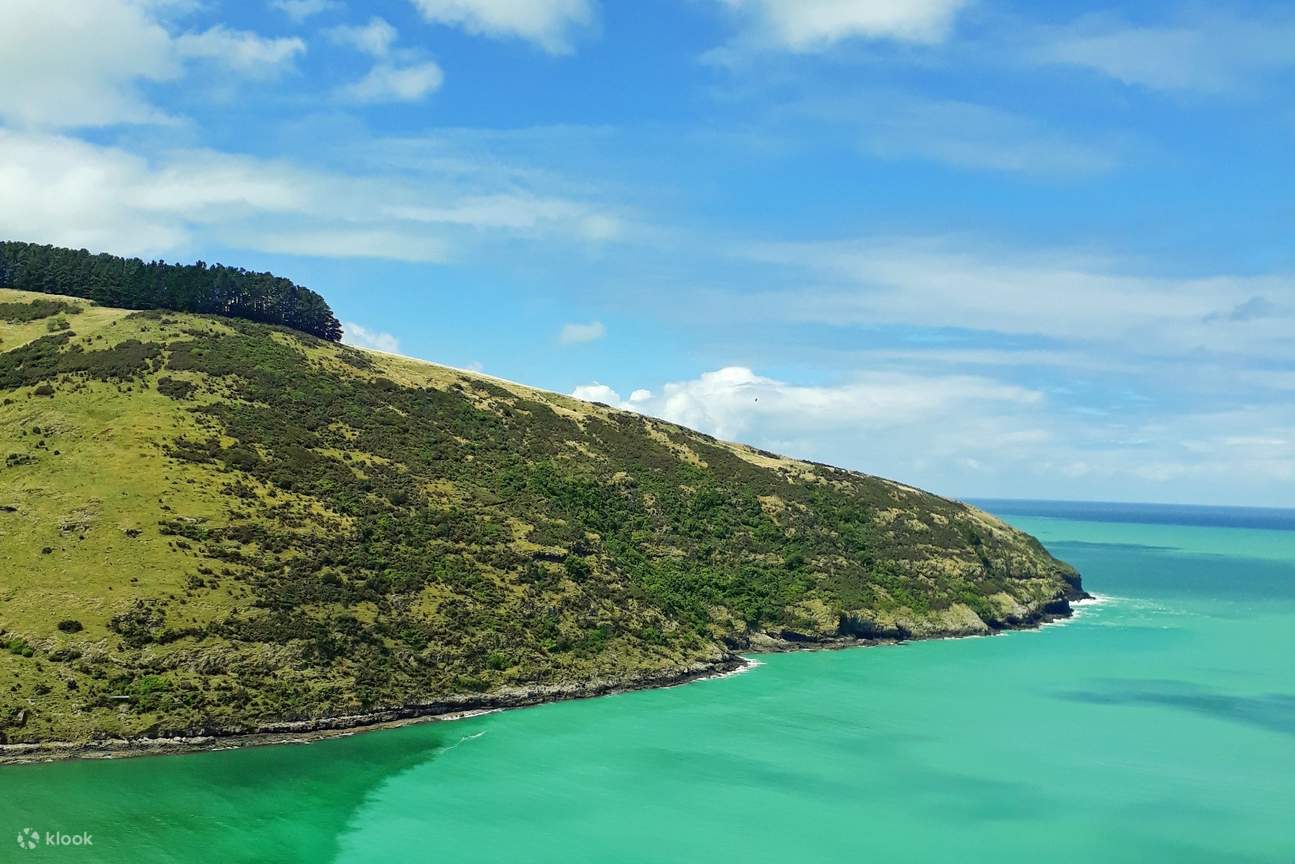 Scenic Nature Tour in Akaroa, New Zealand - Klook客路