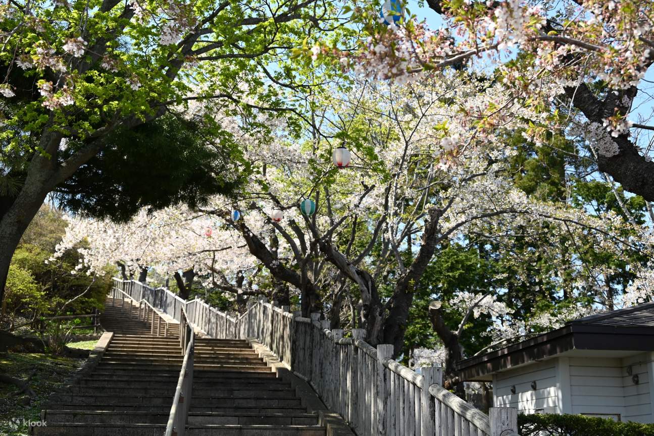 Goryokaku Park and Matsumae Park Join In One Day Bus Tour with Sakura ...