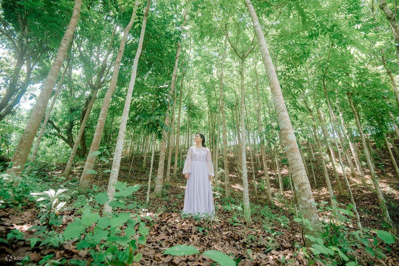 Experiencia de campamento en el Santuario de Gabriel - Klook Estados Unidos