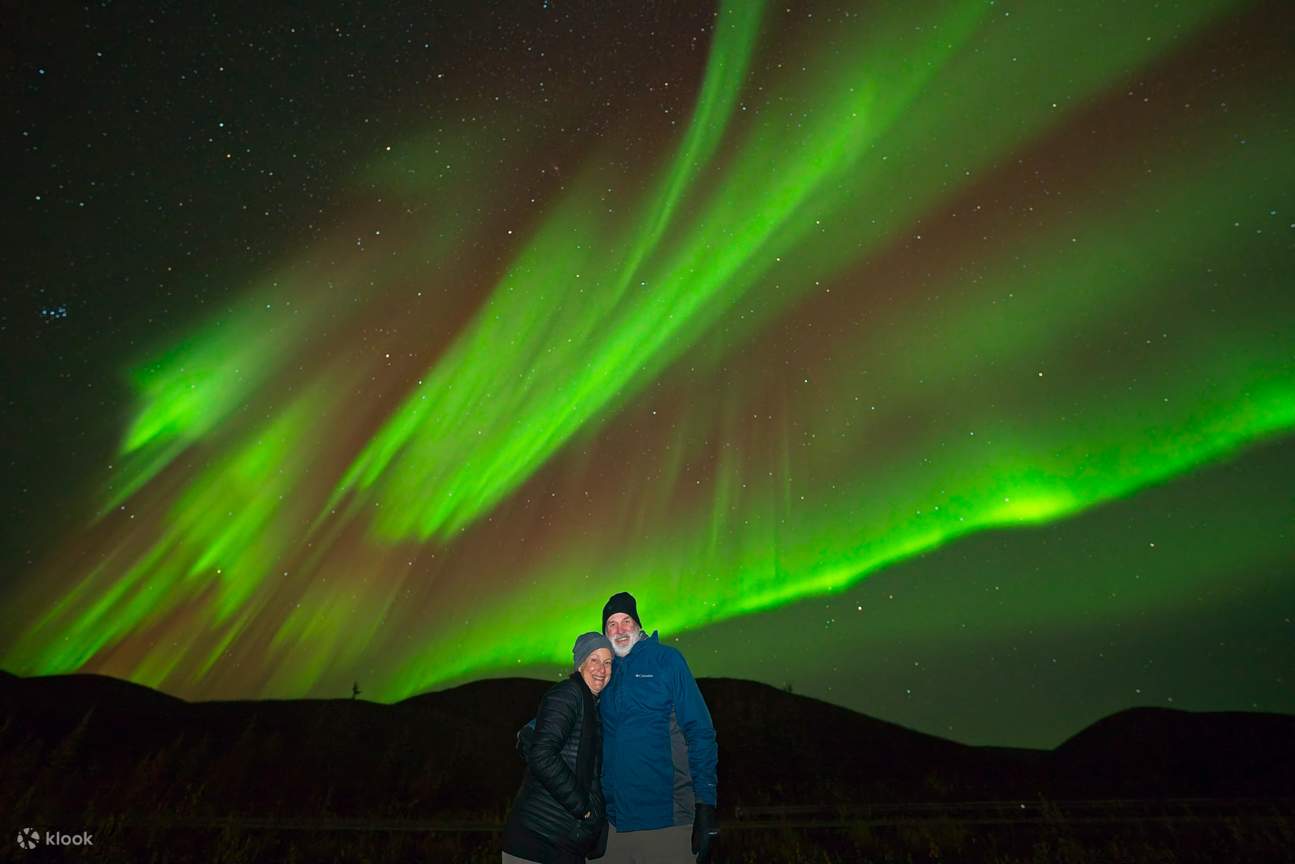 Northern Lights Aurora Tour with Free Photography - Klook New Zealand