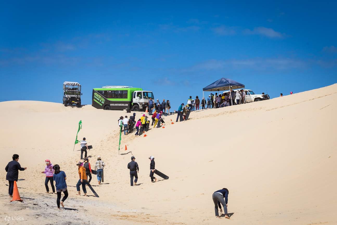 Daily Unlimited Sandboarding in Port Stephens - Klook