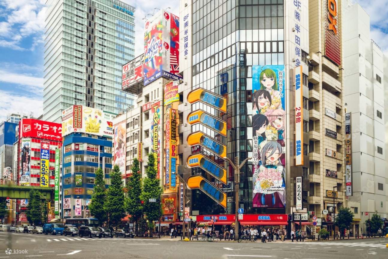 Tokyo 1-Day Private Tour with Chartered Van - Klook