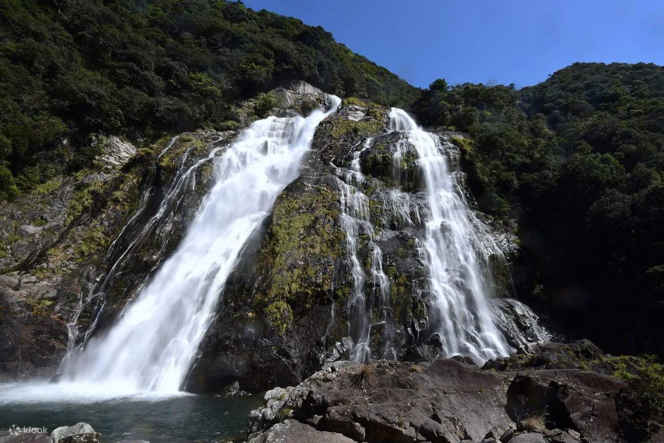 Yakuzaru Sightseeing Bus: Yakushima Island Morning Half-Day Tour ...