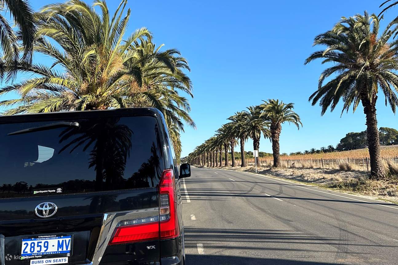 Barossa Valley Gin & Wine Tour - Klook