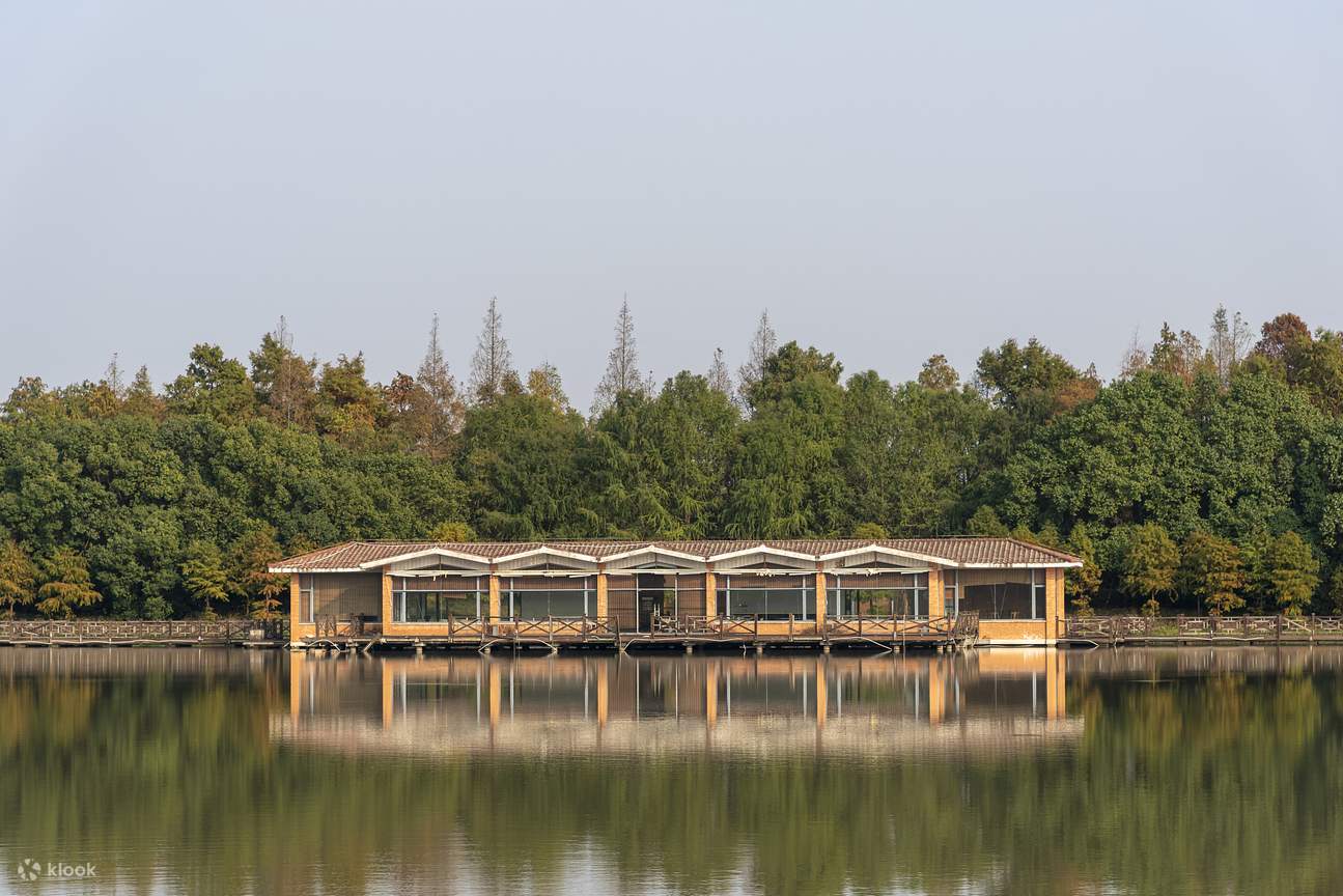 Shanghai Haiwan National Forest Park - Klook Australia