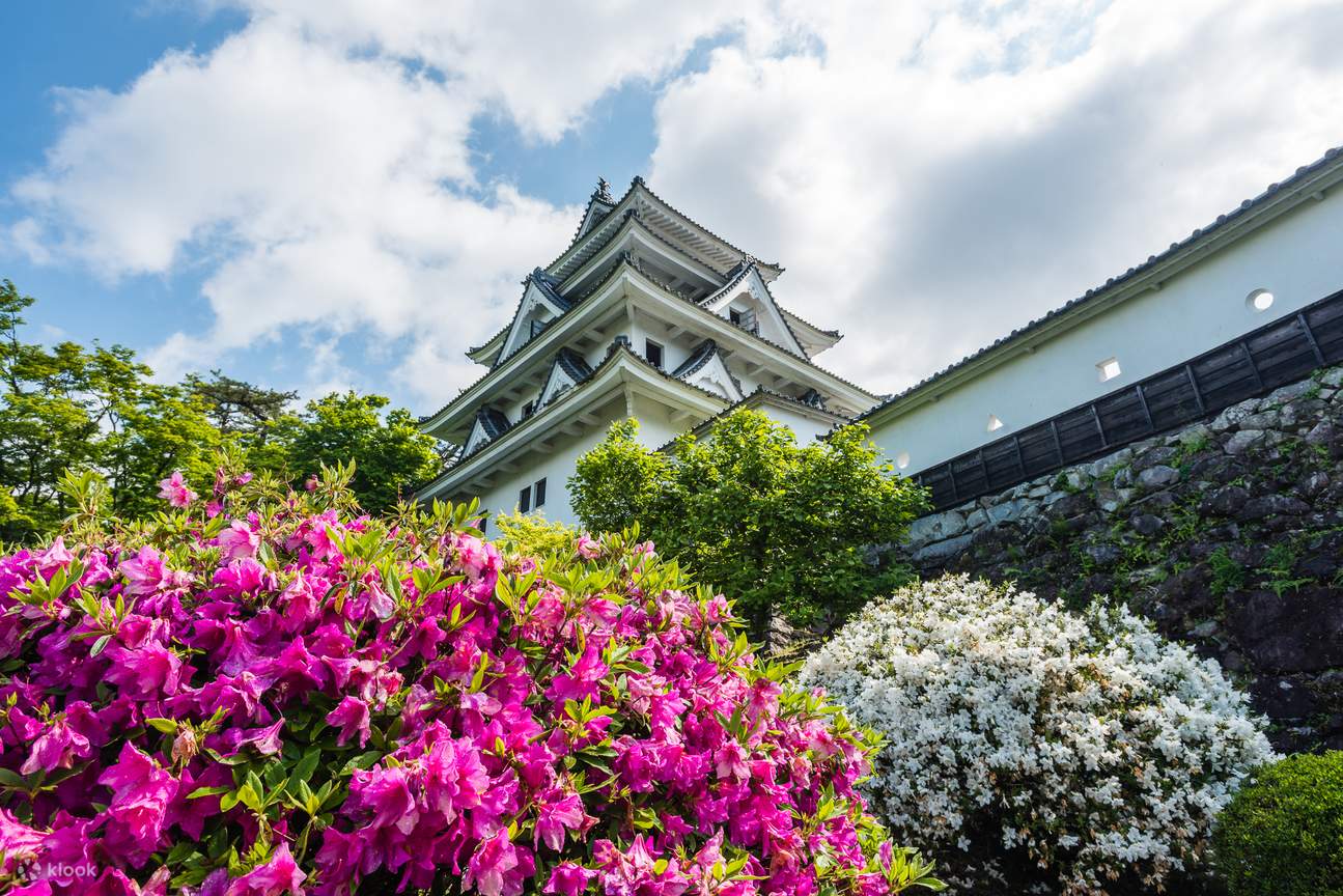 Tur Sakura 1 Hari yang Menakjubkan dengan Kereta Sewaan dan Perahu dari Nagoya - Klook Indonesia