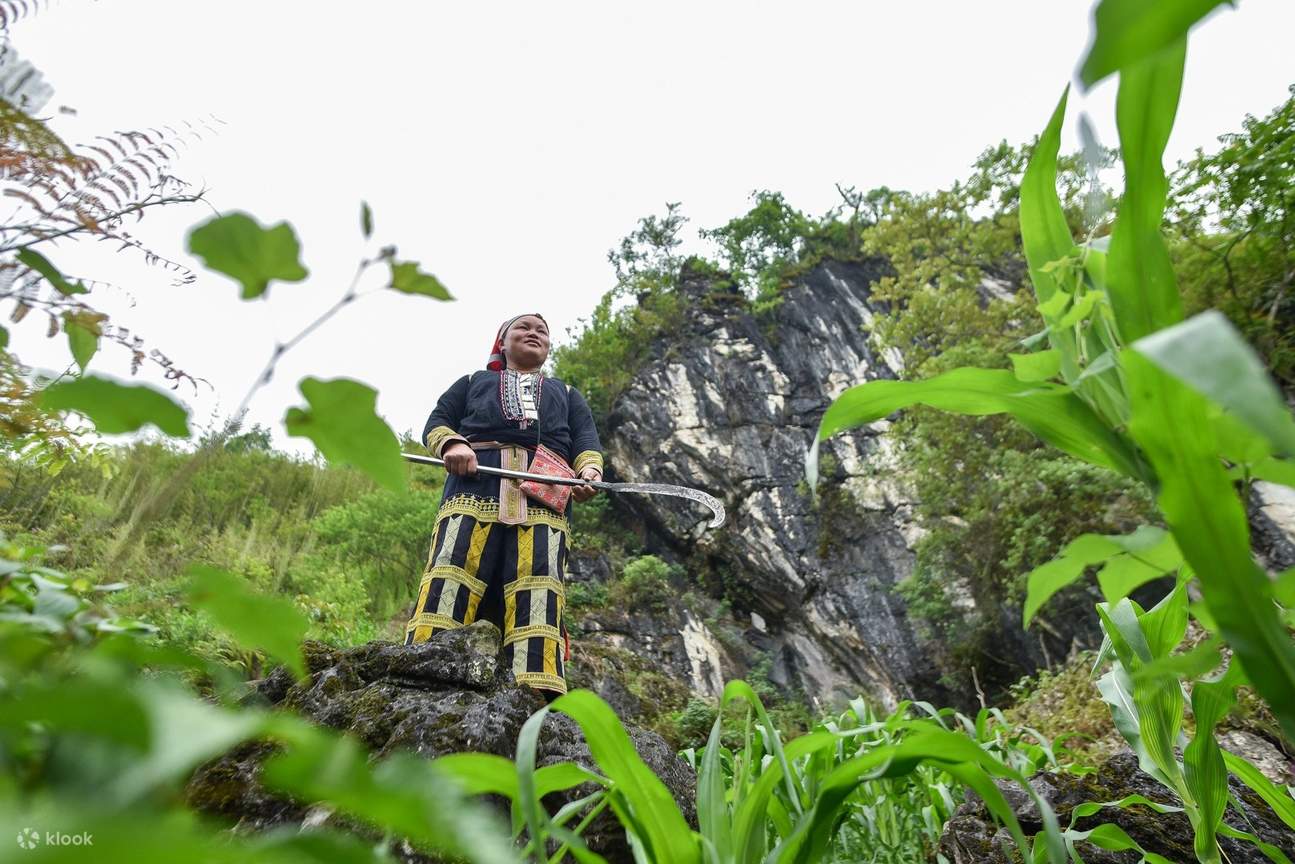 Tur Pemandian Kaki Herbal dan Pemetikan Daun Bersama Masyarakat Dao ...