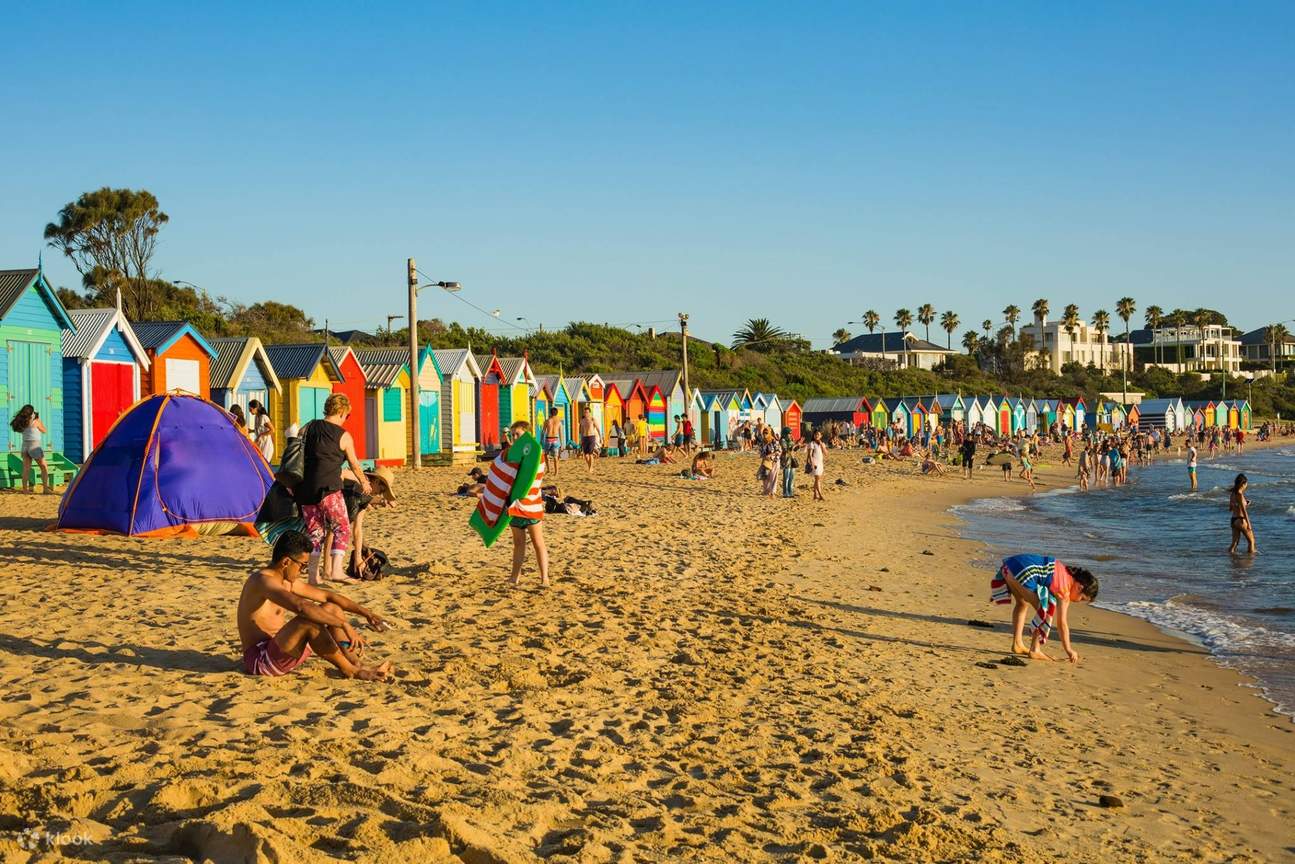 Small Group Philip Island Express Penguin & Wallaby Spoting - Klook