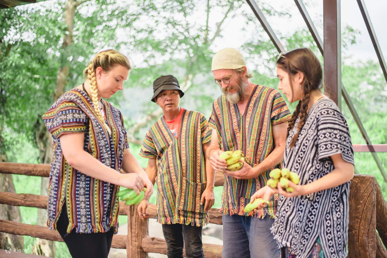 Partecipa al campo per la cura degli elefanti a Chiang Mai e Mae Taman ...