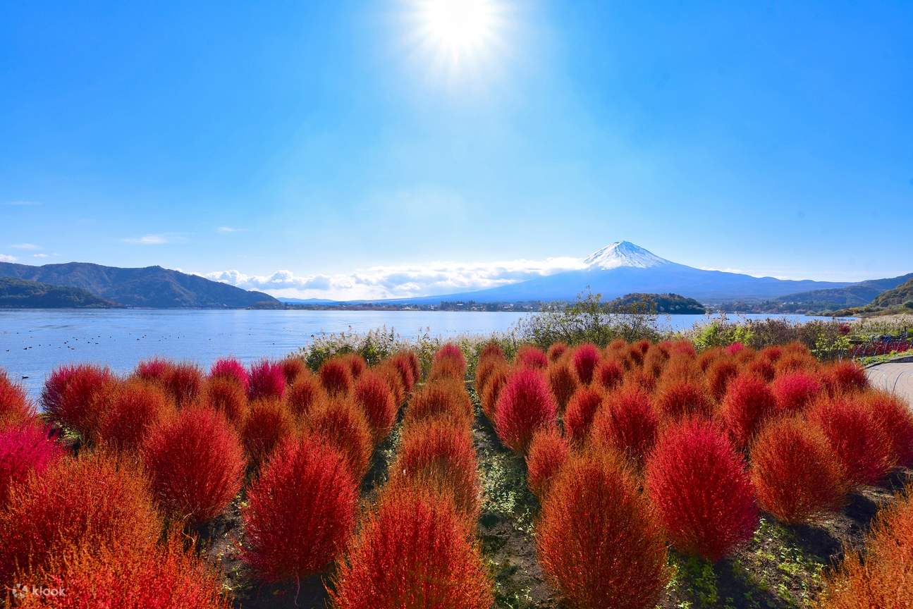Mount Fuji and Lake Kawaguchiko Day Trip from Japan: Arakurayama Sengen ...