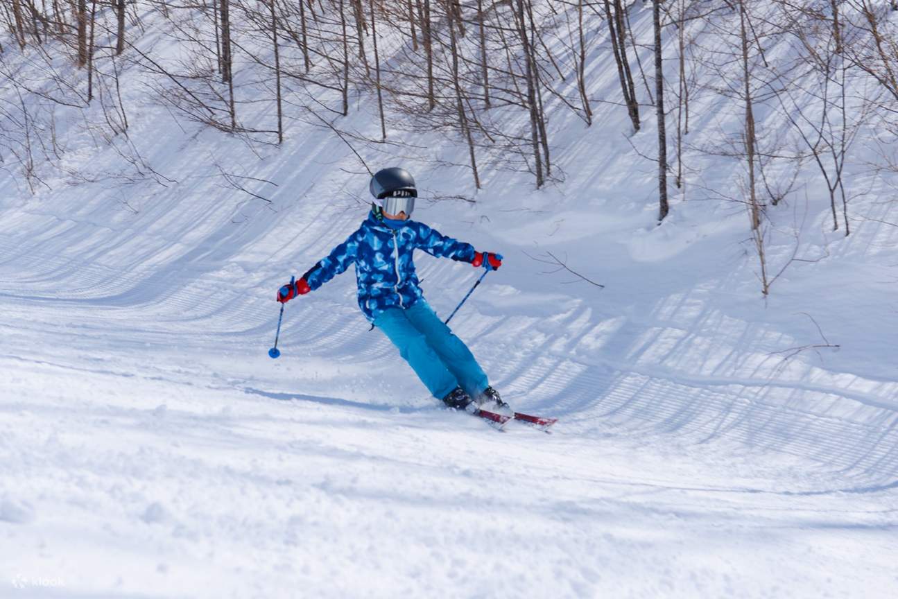 SAJ Instructor Ski Small Class Lesson in Kamui Ski Links (Round-way ...