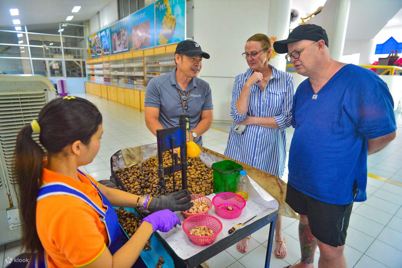 Phuket Cultural Highlights: Temples, Old Town & Thai Farm Experience ...