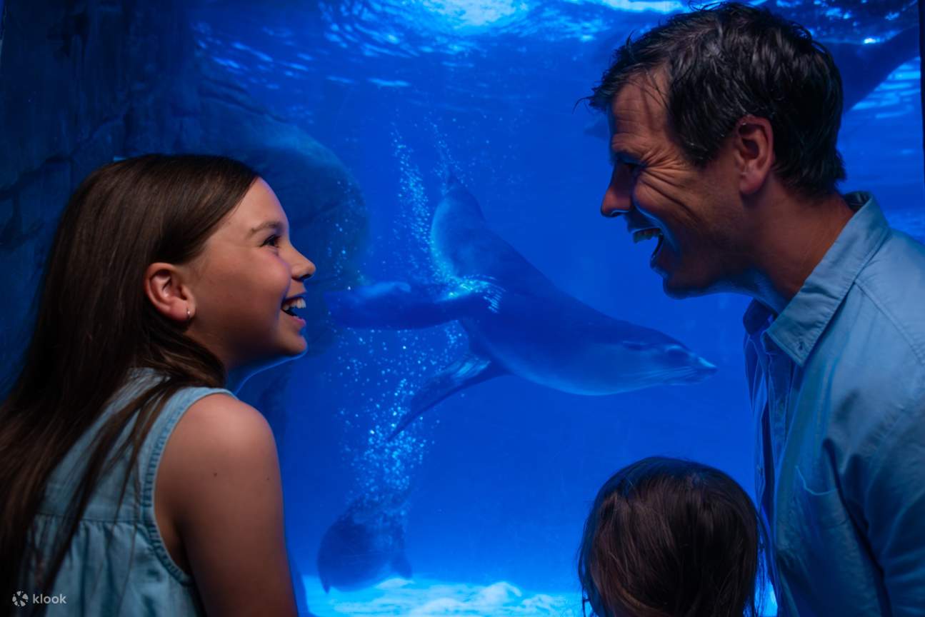 SEA LIFE Sunshine Coast Admission Ticket - Klook Singapore