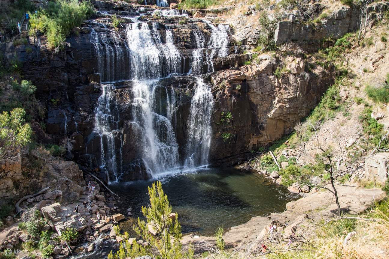 3 Day Great Ocean Road Tour from Adelaide to Melbourne - Klook