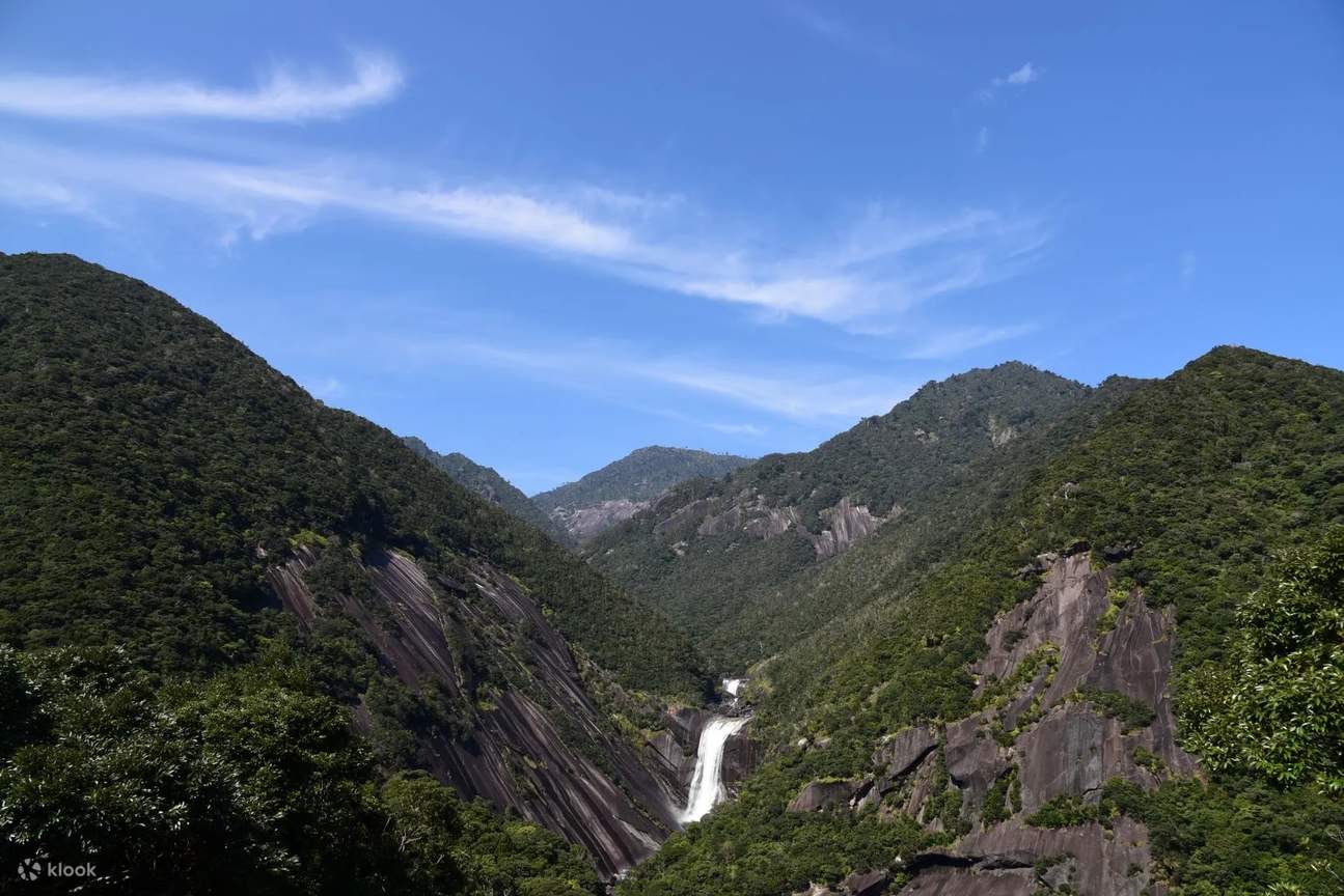 Yakuzaru Sightseeing Bus: Yakushima Island Morning Half-Day Tour ...