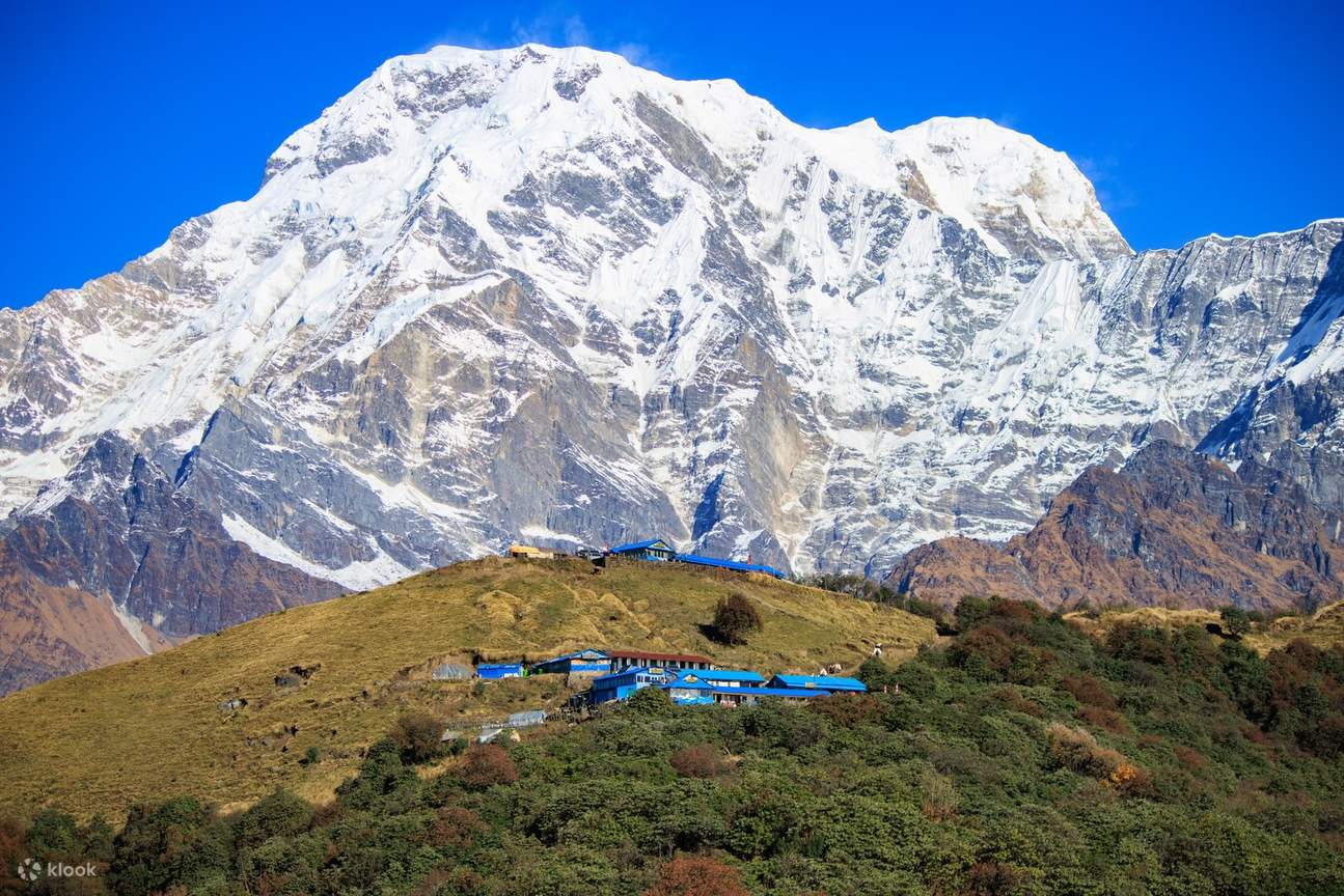 Mardi Himal Base Camp 5-Day Trek from Pokhara - Klook New Zealand