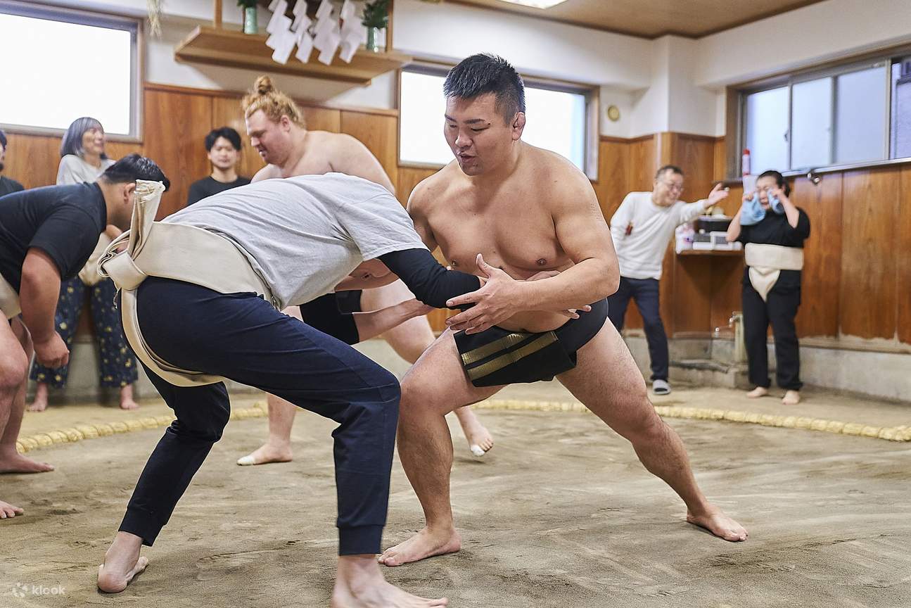 Tokyo Sumo: Train on a real yokozuna dohyo & enjoy chanko hotpot ...