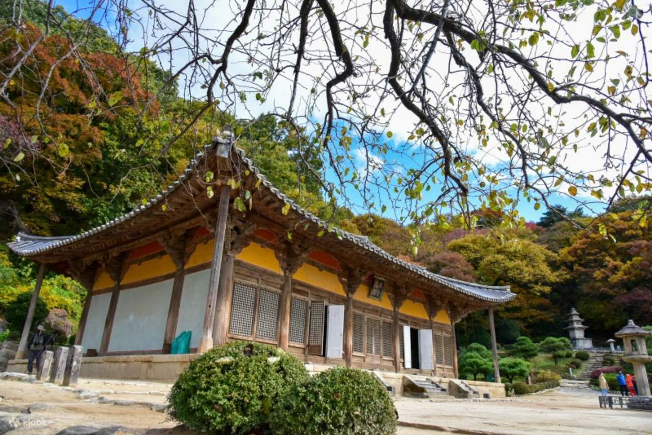 Yeongju Buseoksa Temple & Sosuseowon Confucian Academy Day Tour - Klook ...