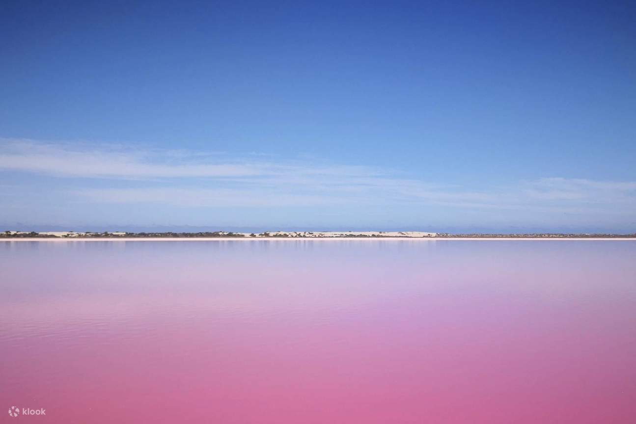 3D2N Pink Lake & Pinnacles Impression Tour - Klook Singapore