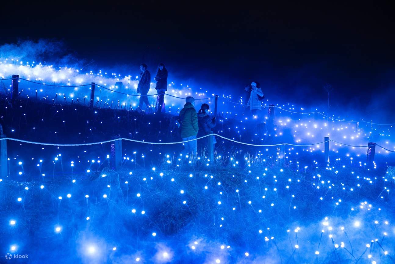 Astra Lumina Gold Coast at Currumbin Wildlife Sanctuary - Klook Canada