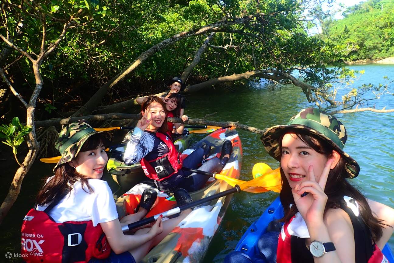 Mangrove Kayak Tour - Klook Malaysia