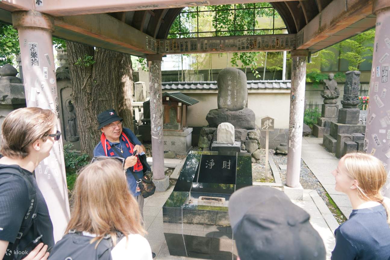 Sumo Tour in Tokyo Join In 3 Hour Walking Tour with Premium Sumo ...