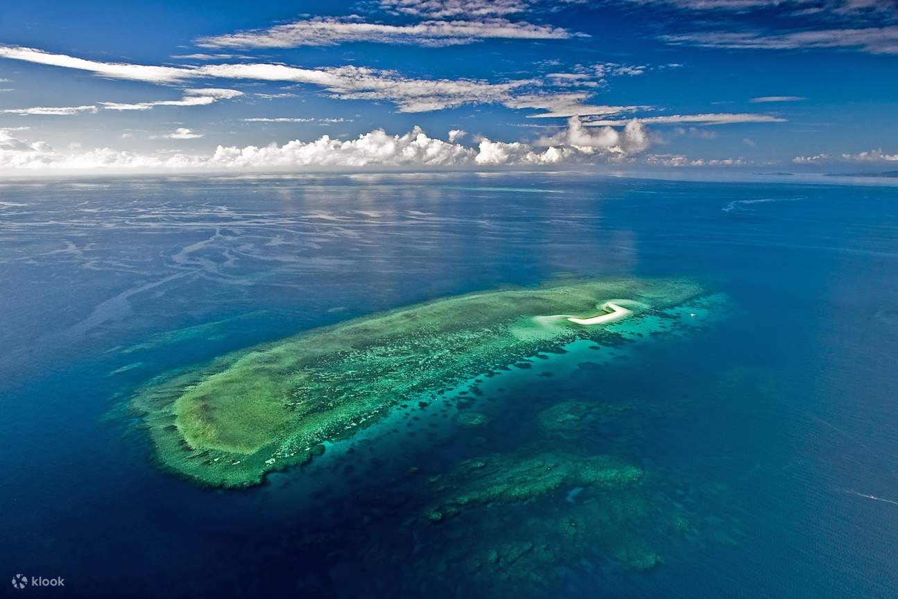 Great Barrier Reef Join In Half Day Tour with Snorkelling Experience ...