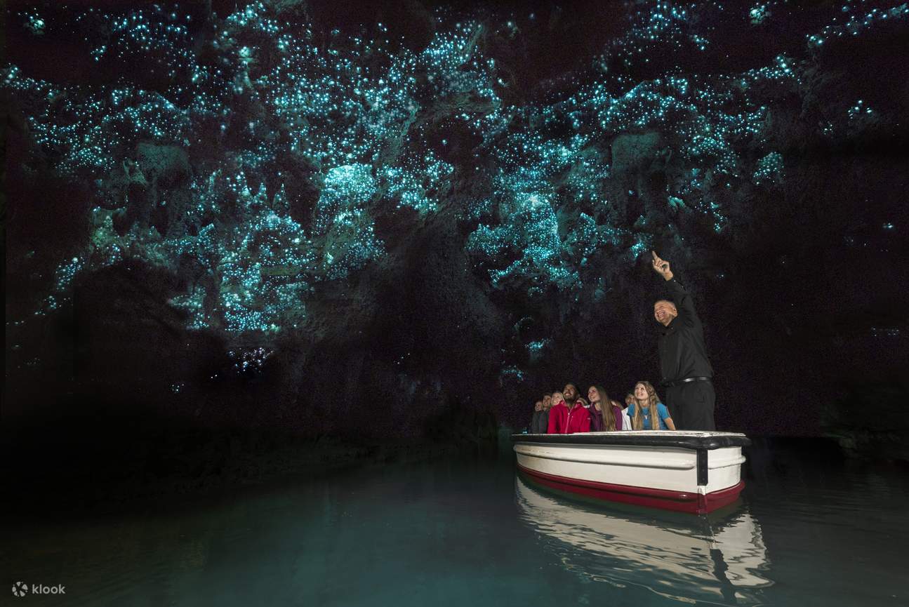 Waitomo Glow worm Caves - Klook India