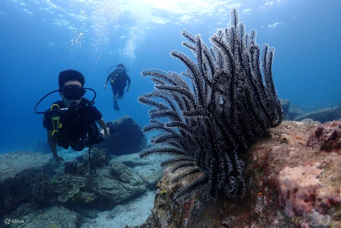 Maithon Private Island Small Group Scuba Diving: 2 Dives Half Day ...
