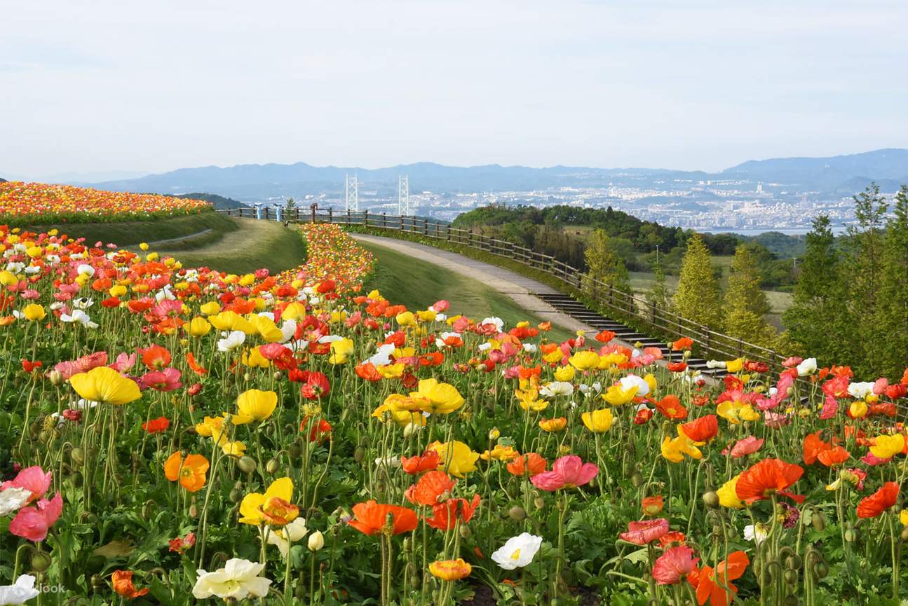 Museum Seni Otsuka dan Tur Bus Satu Hari Awaji Hanasajiki dari Osaka ...