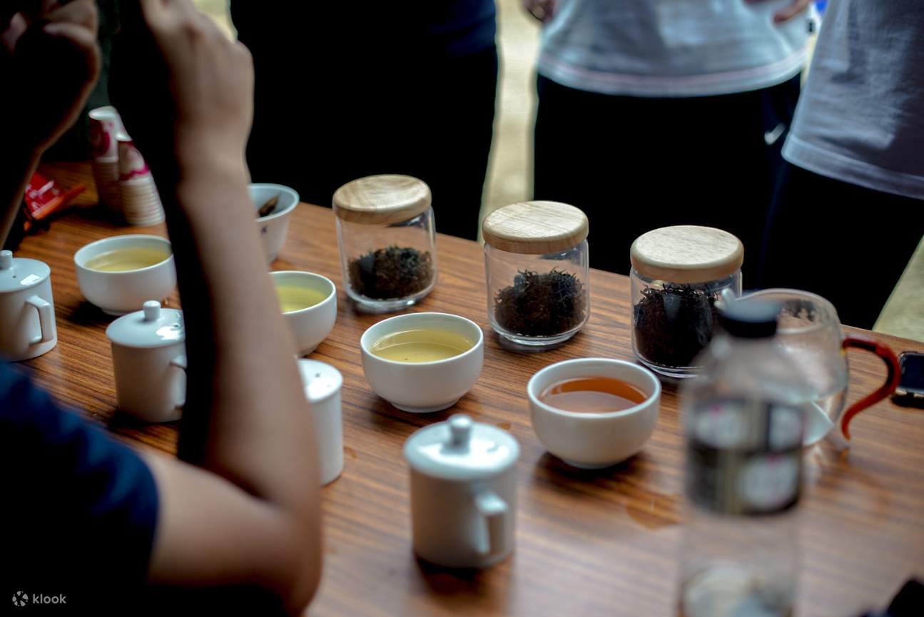 Tea Tasting & Tea Plantation Tour & Tea Leaf Kneading Experience ...