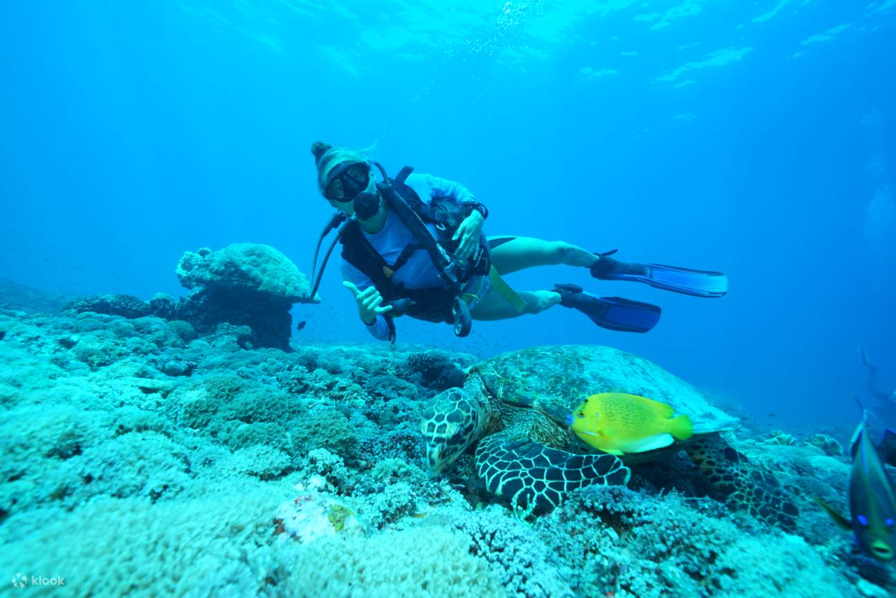 PADI Advanced Open Water Diver in Bali with PADI 5 Star IDC Resort - Klook