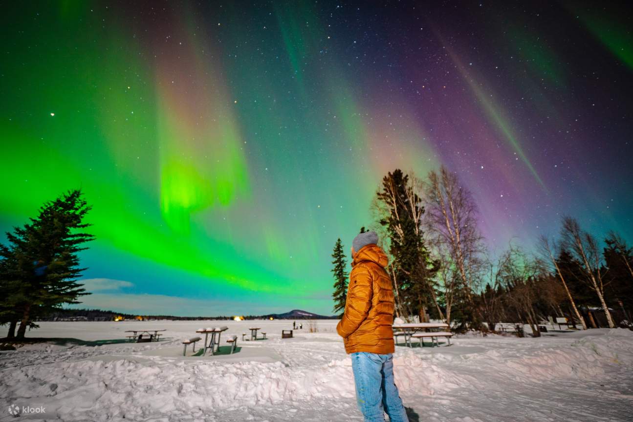 Incredible Aurora Viewing Adventure - Klook United States