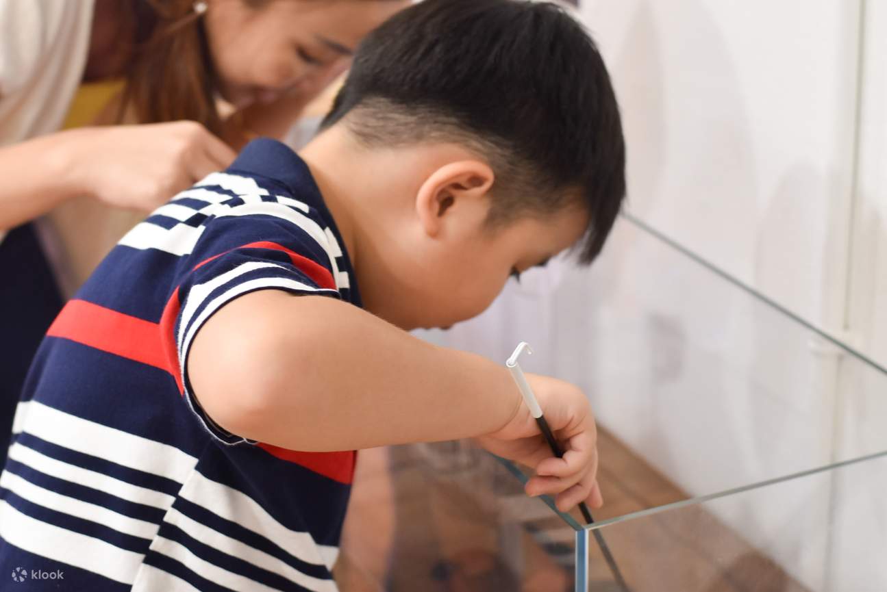 Volcanic Shrimp Aquarium Workshop - Klook Singapore