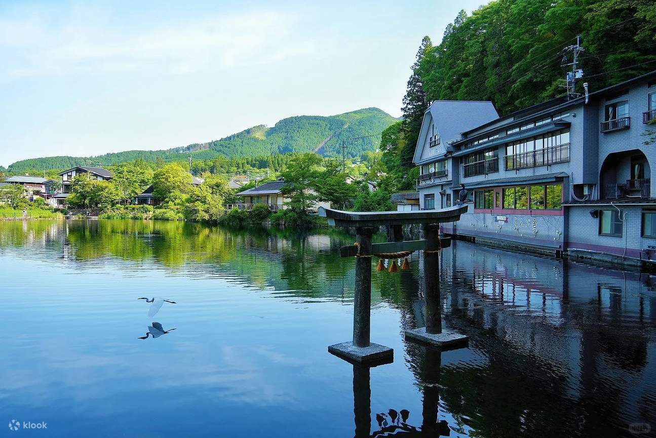Kyushu Oita | Kyushu Natural Animal Park & Mt. Yufu & Yufuin & Kinrin ...
