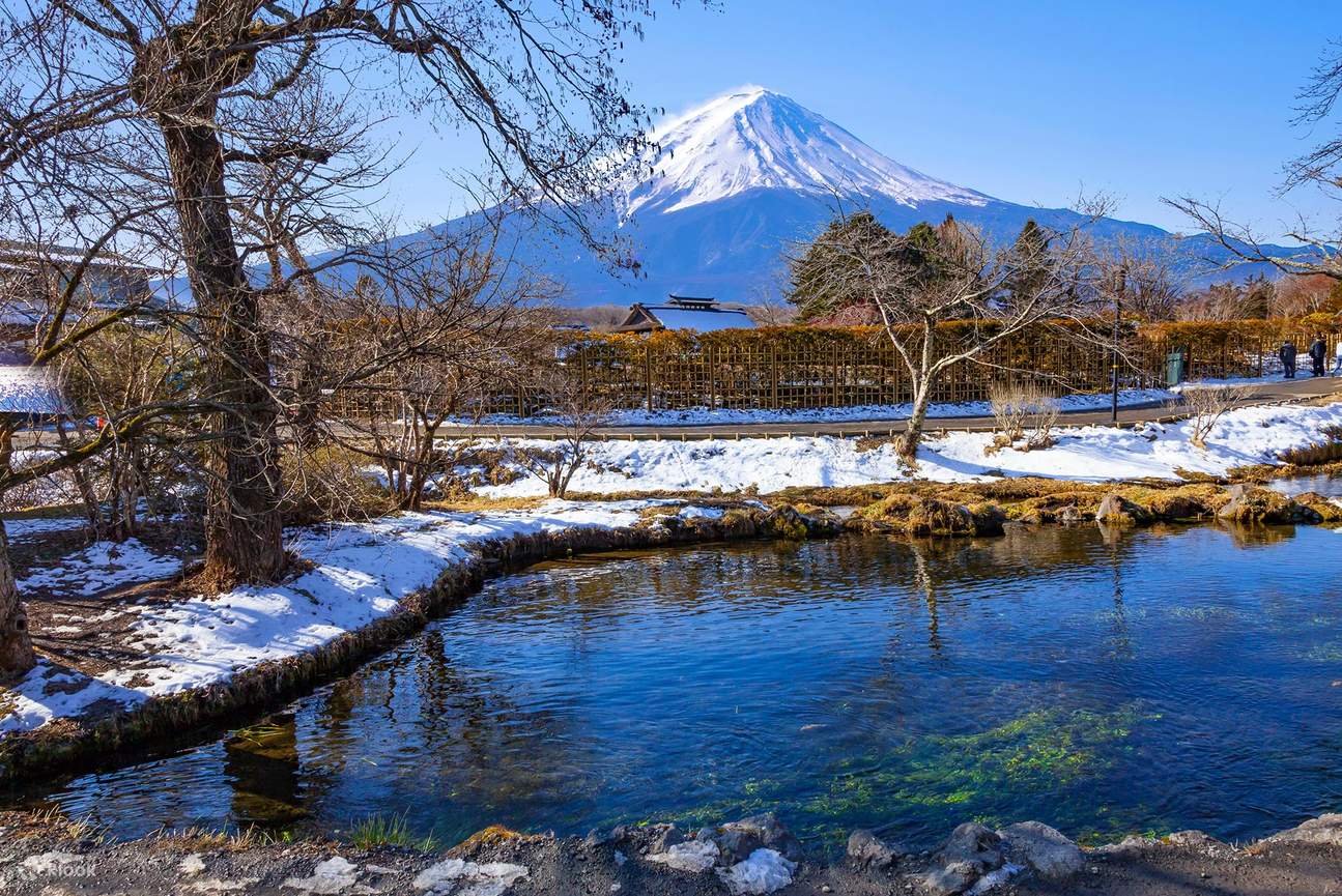Gita di un giorno al Monte Fuji con splendide viste (partenza da Tokyo ...