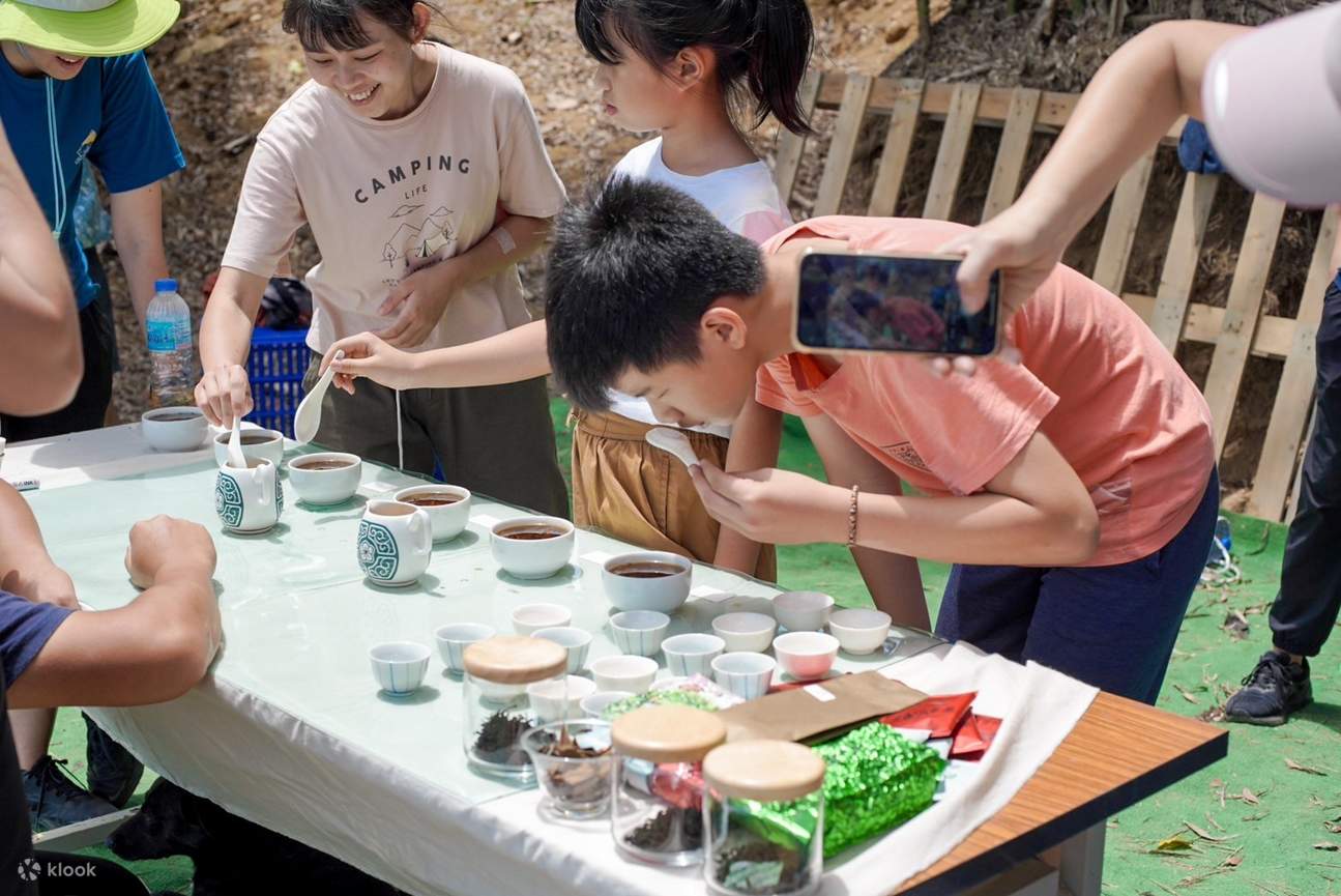 Tea tasting & tea garden tour & tea rolling experience - Klook Singapore