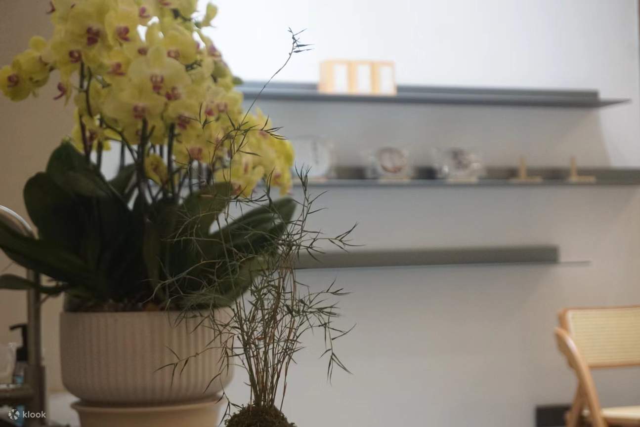 Bestellen Sie Tee und genießen Sie den tausendjährigen ästhetischen ...