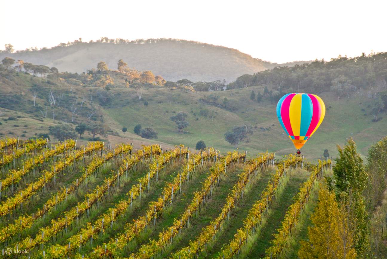 Volo in mongolfiera a Mudgee Sunrise con Balloon Aloft - Klook Stati Uniti