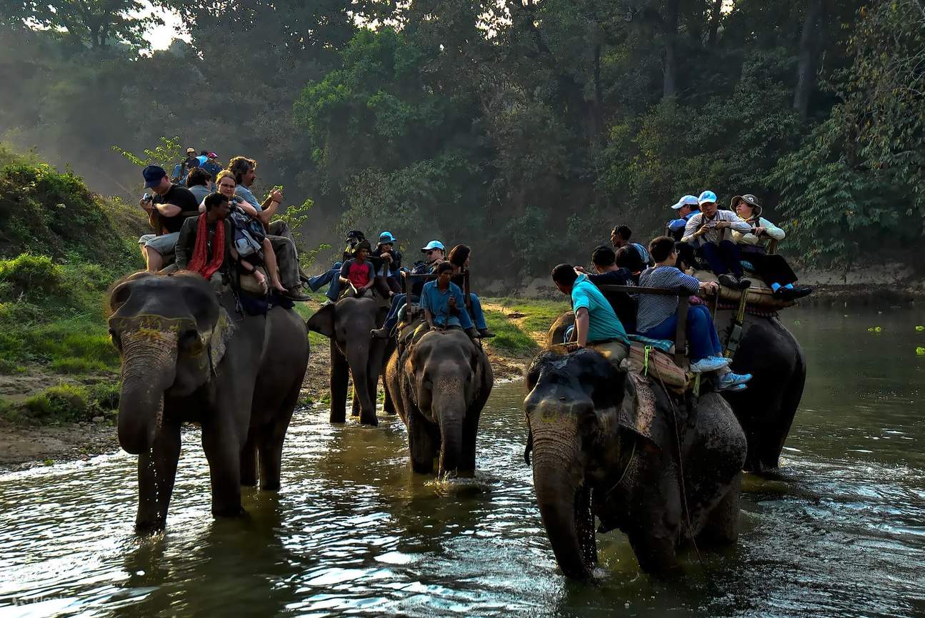 4-Day Private Chitwan National Park Safari Tour From Kathmandu - Klook ...