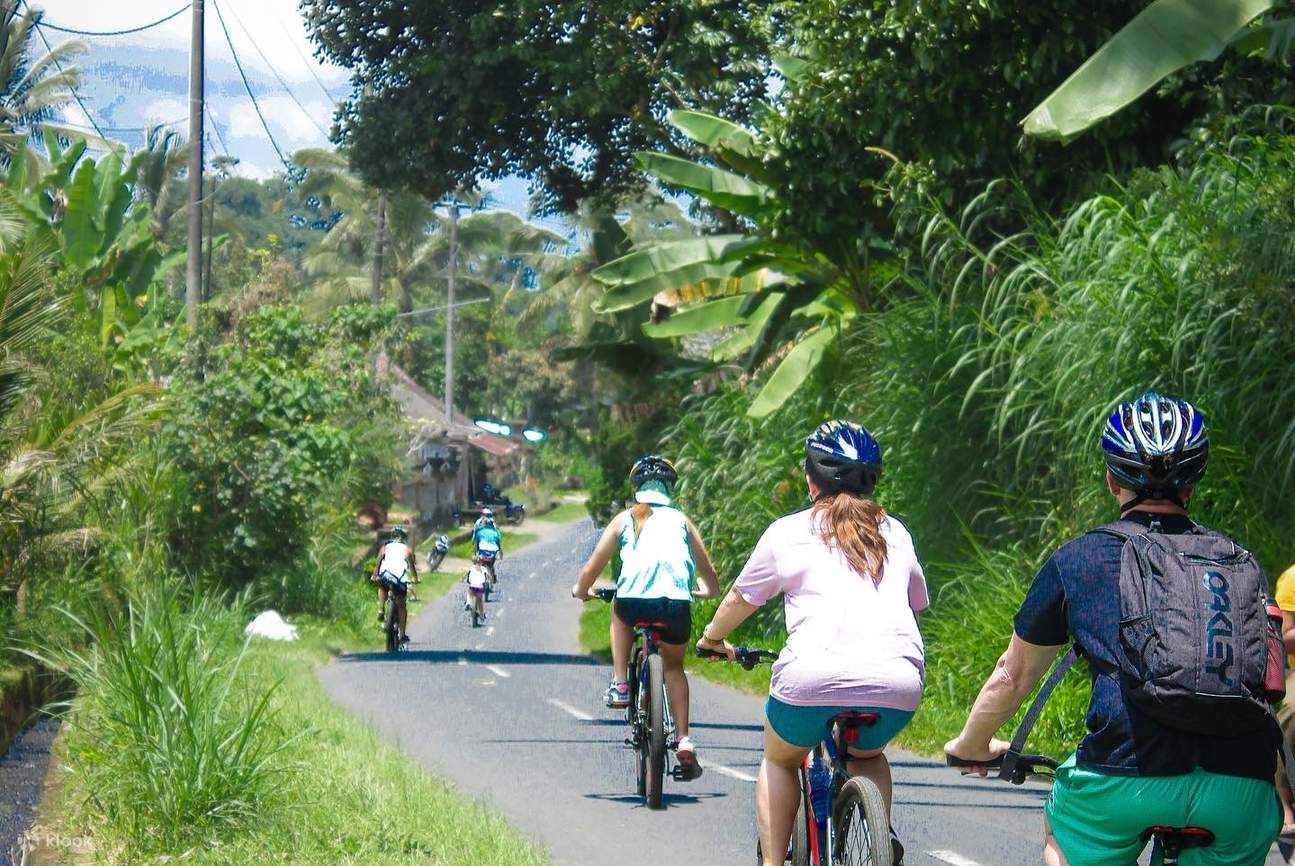 Cycling Tour in Ubud - Klook