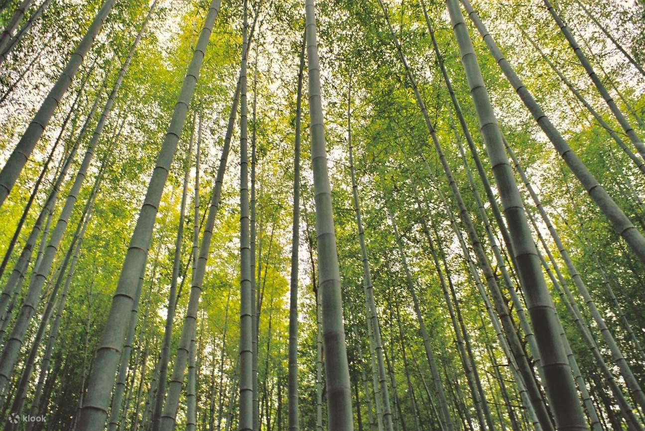 1-Day Tour from Nagoya: Hiking the Historic Nakasendo Trail - Klook ...